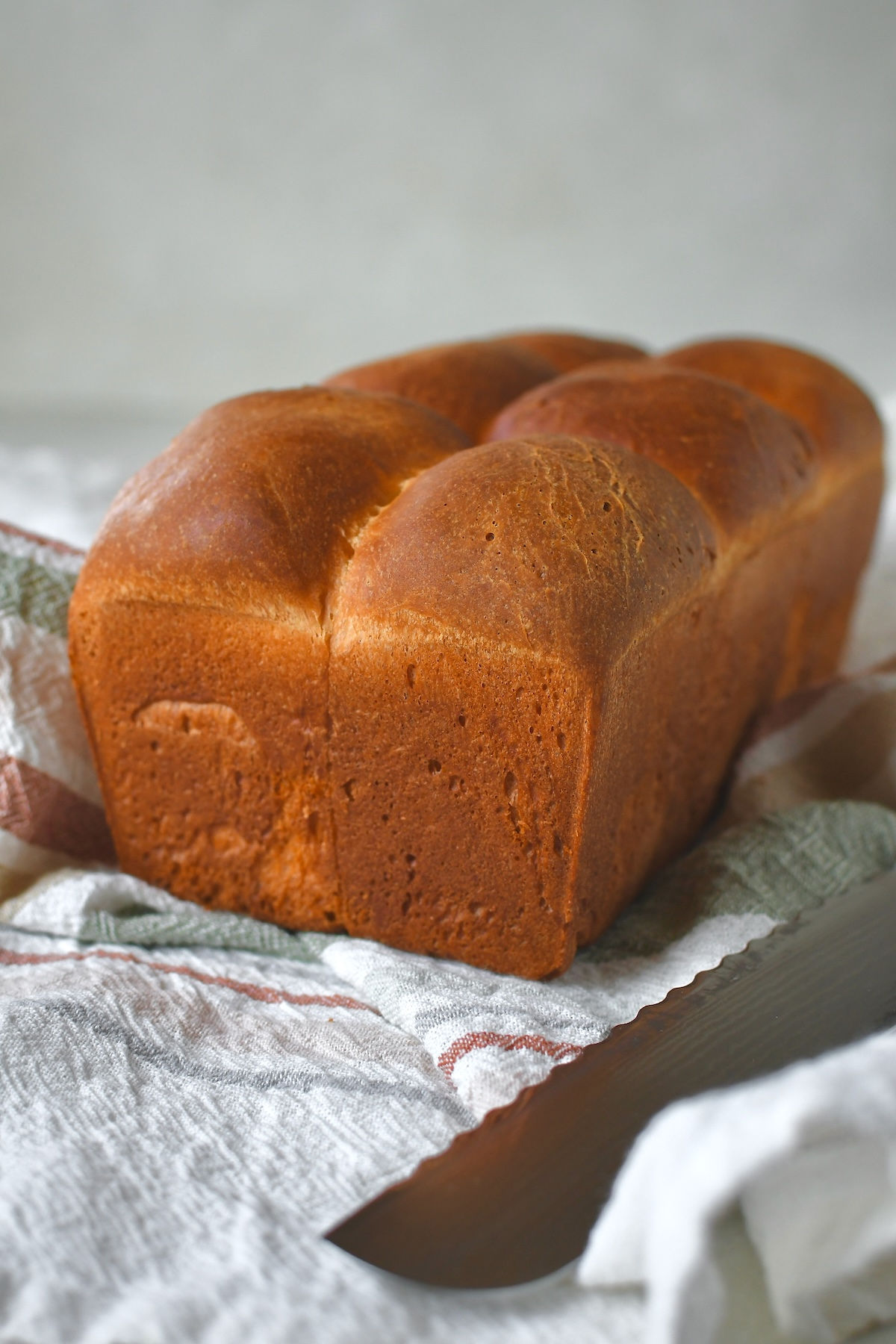 The Best Homemade Brioche Bread - The Farmstyle