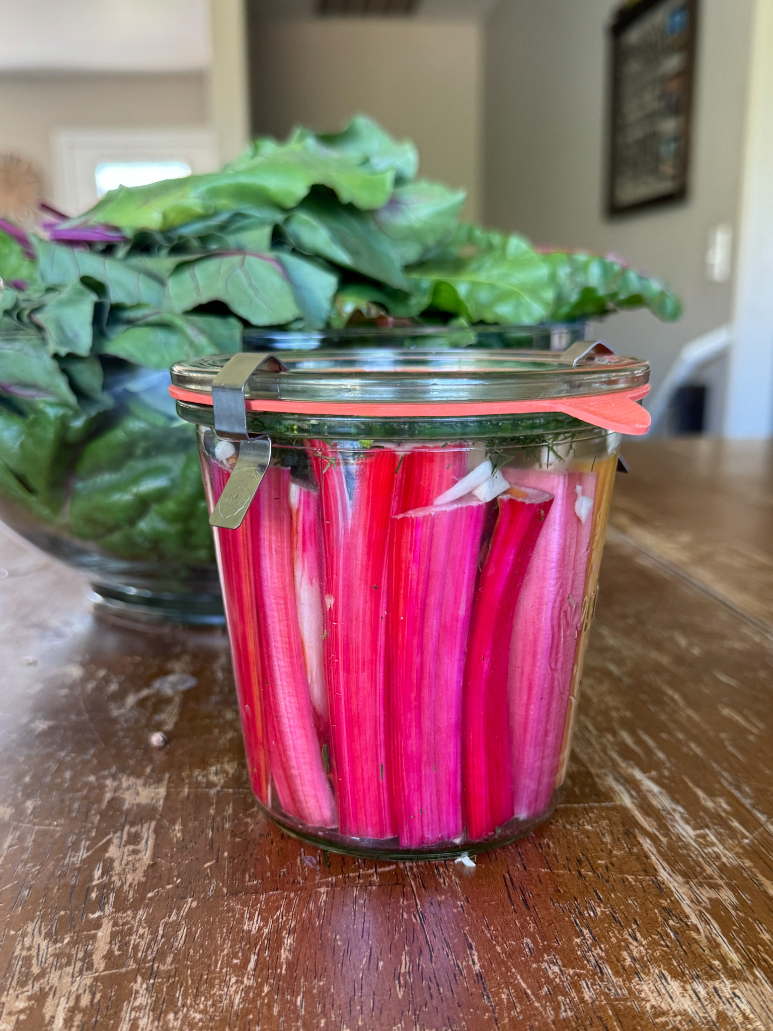 Easy Refrigerator Pickled Swiss Chard - The Farmstyle