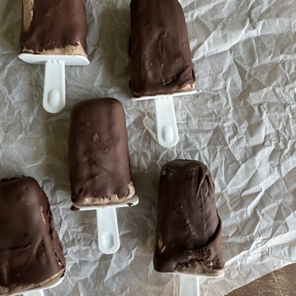 Homemade Frozen Chocolate Yogurt Bars - The Farmstyle